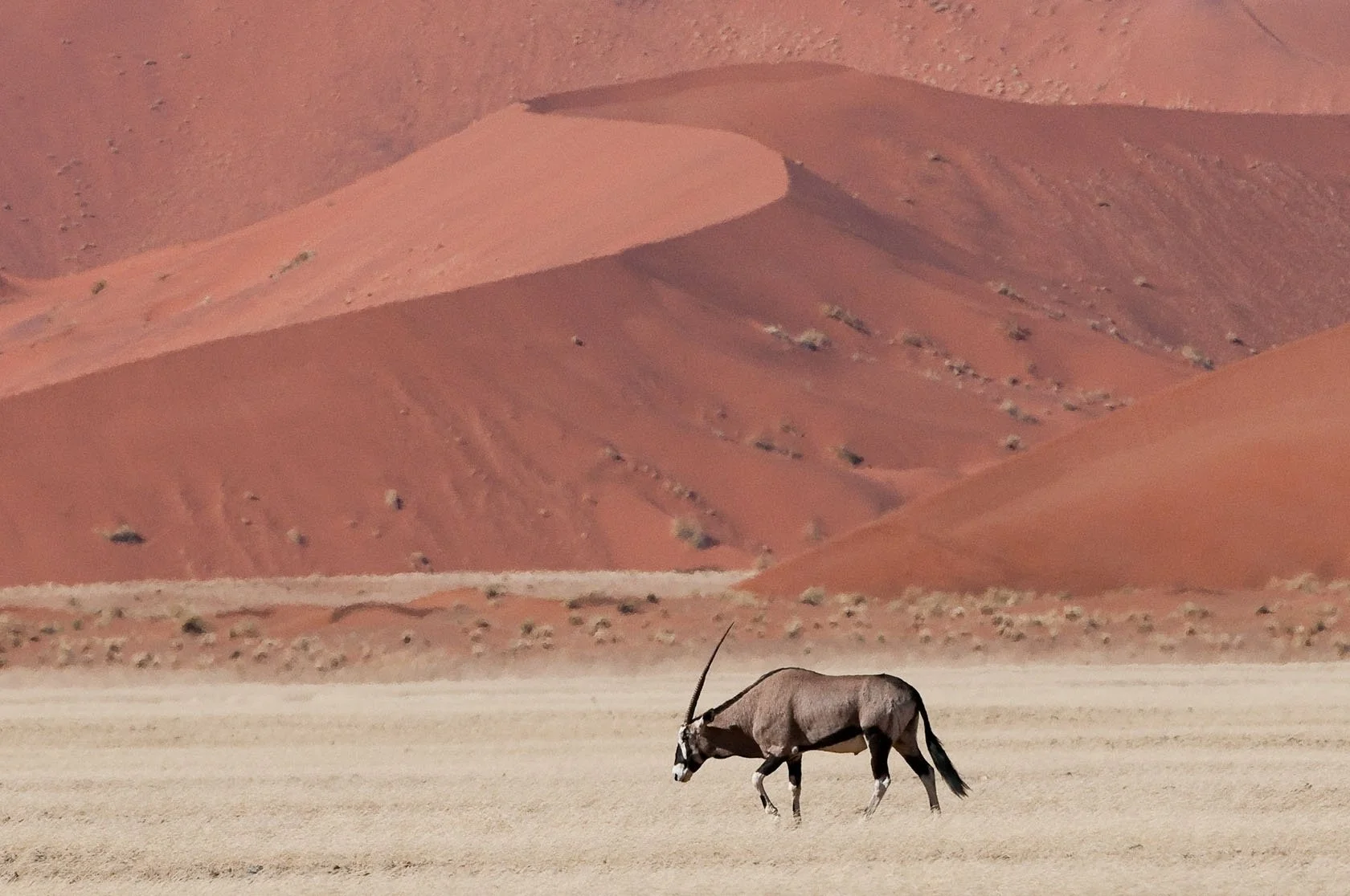 Beyond the Big Five: Namibia Will Delight Even The Seasoned Africa ...