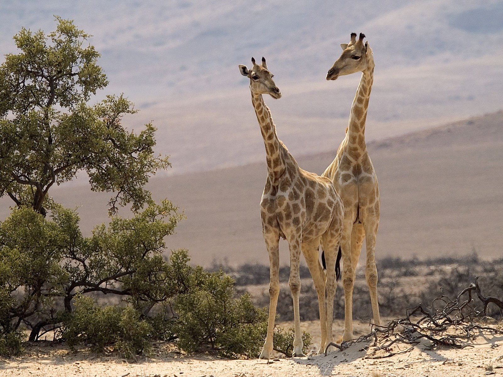 Beyond the Big Five: Namibia Will Delight Even The Seasoned Africa ...