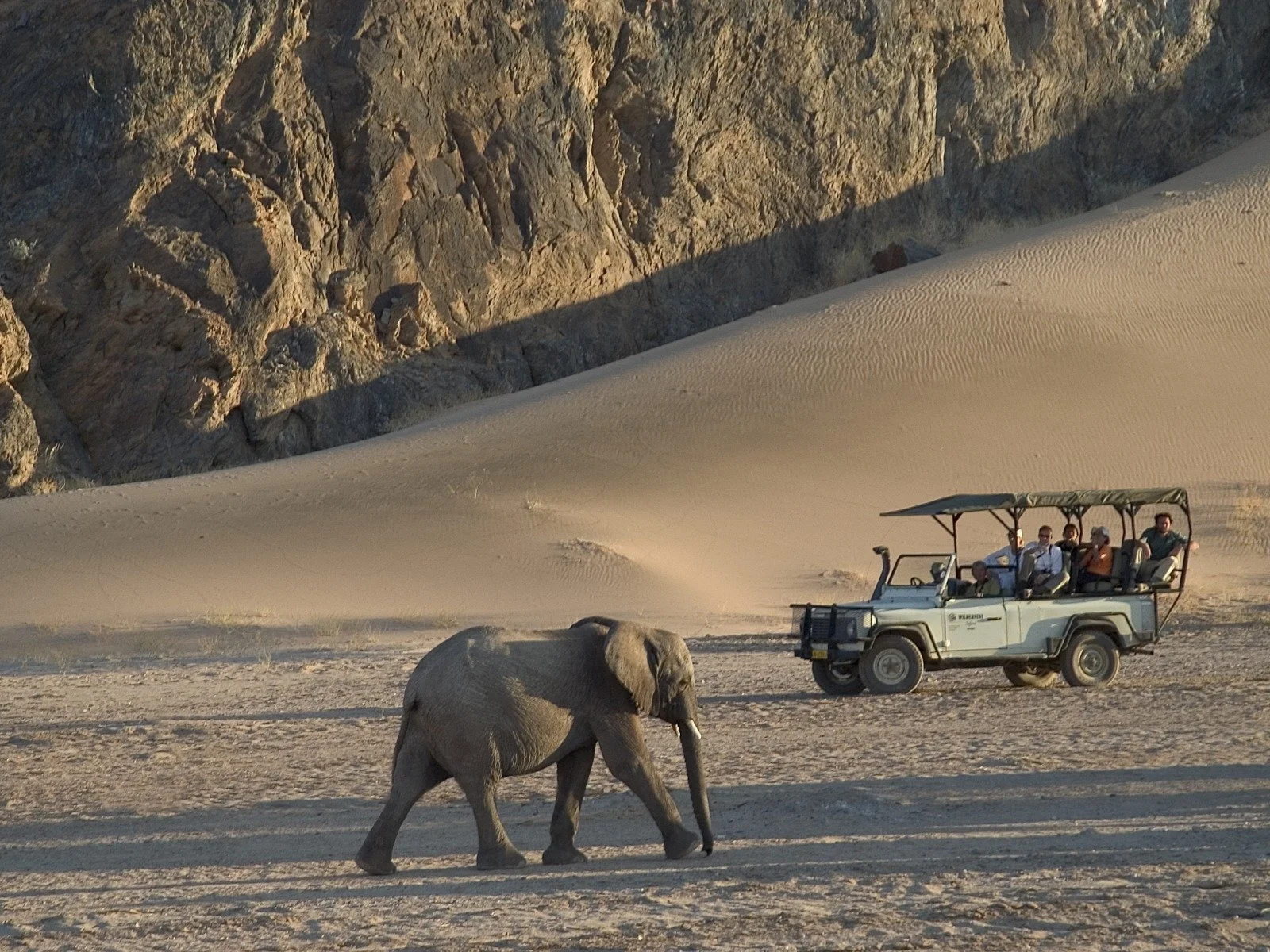 Beyond the Big Five: Namibia Will Delight Even The Seasoned Africa ...