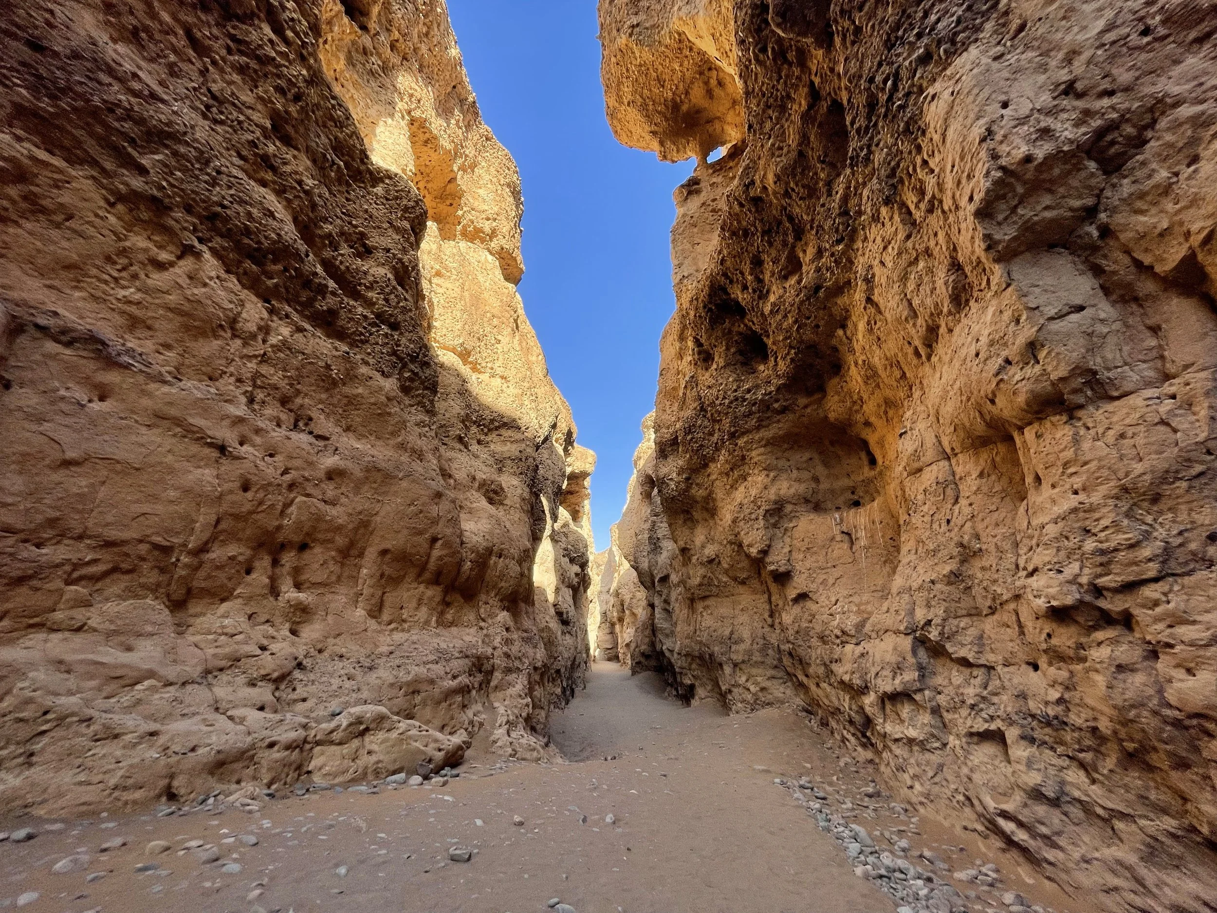 Beyond the Big Five: Namibia Will Delight Even The Seasoned Africa ...