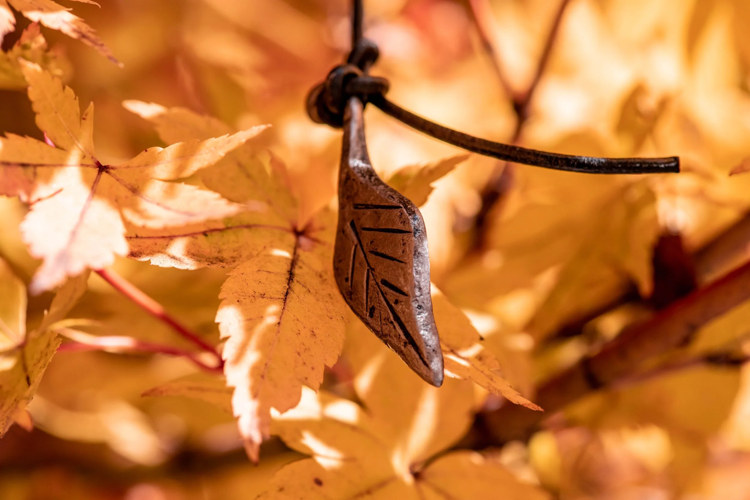 General 3 — Monash Forge