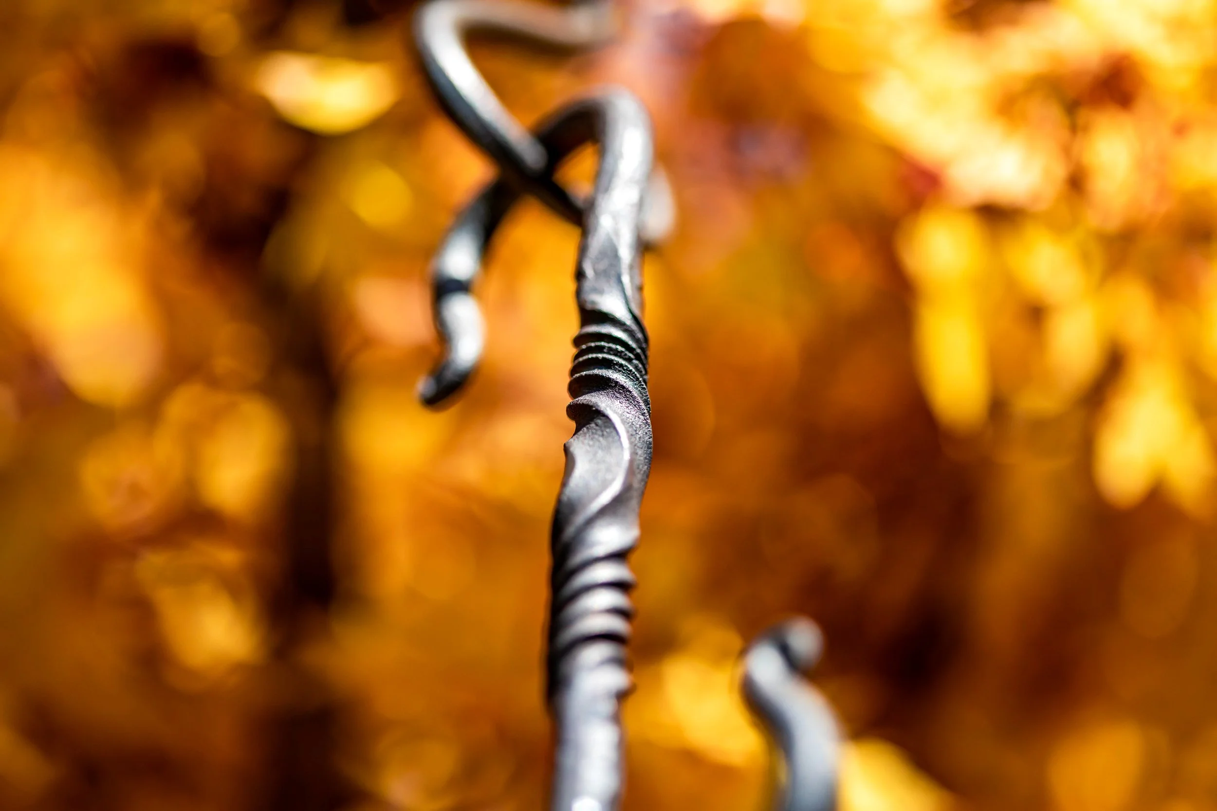 About Us — Monash Forge