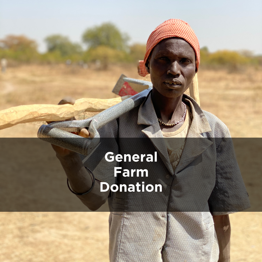 General 2 — GEMS Development Foundation