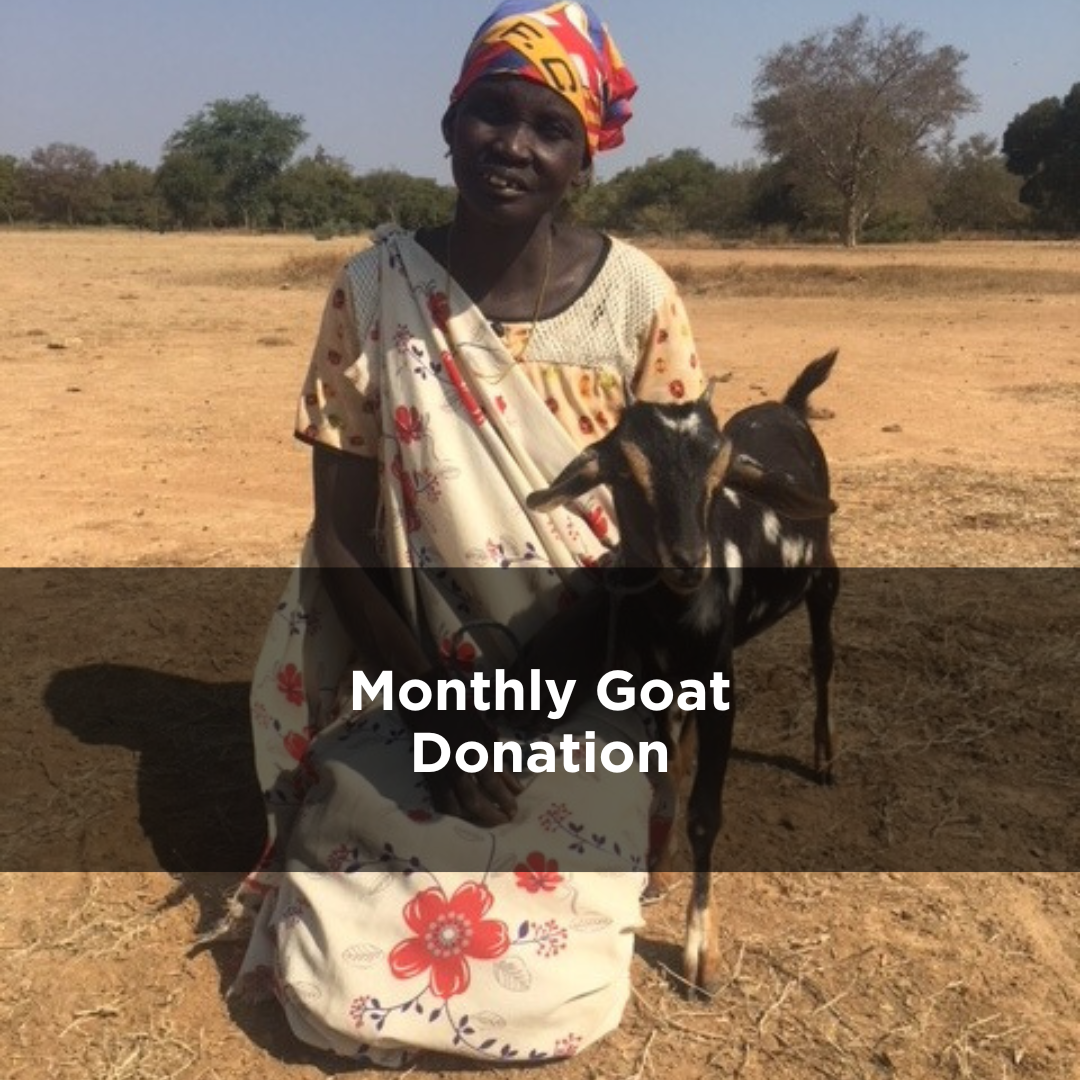 General 2 — GEMS Development Foundation