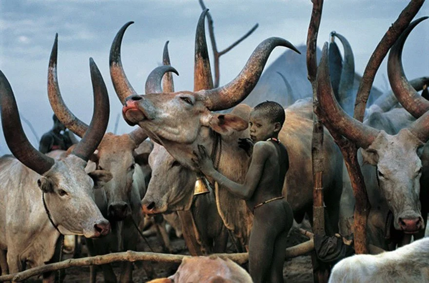 The Dinka People of South Sudan — GEMS Development Foundation