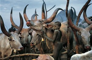 The Dinka People of South Sudan — GEMS Development Foundation