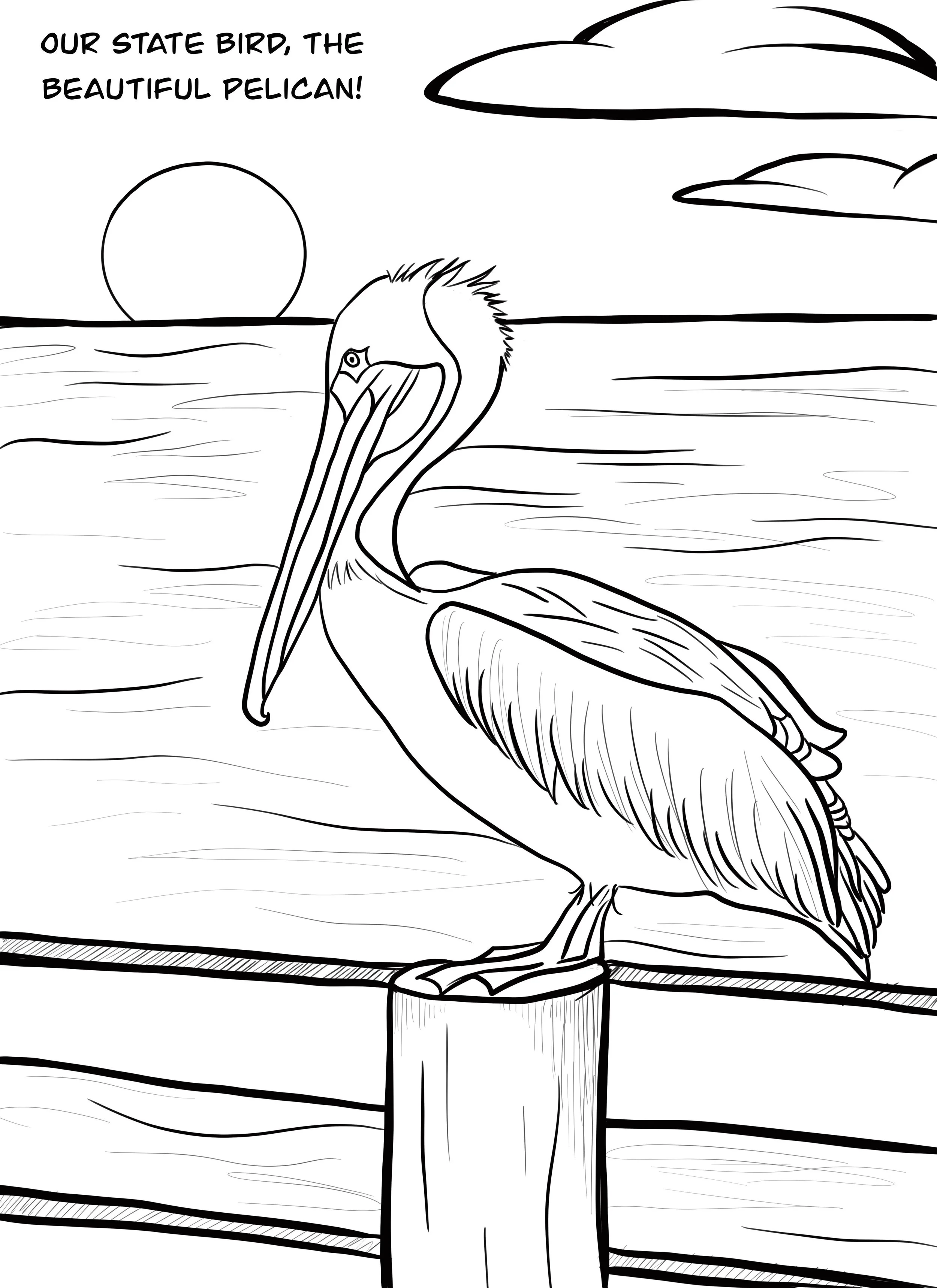 Louisiana State Bird Coloring Page