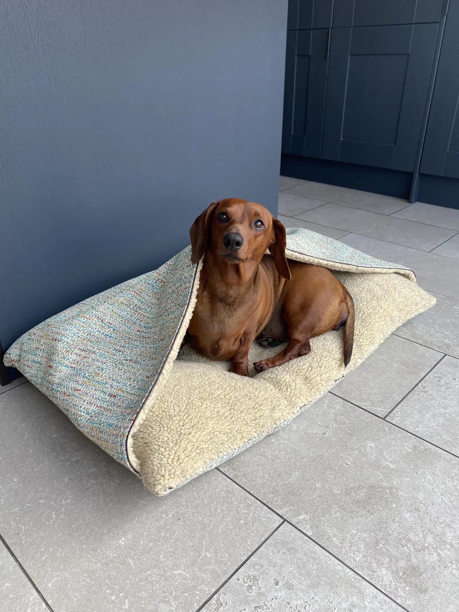 Store 2 — The Sausage Pit