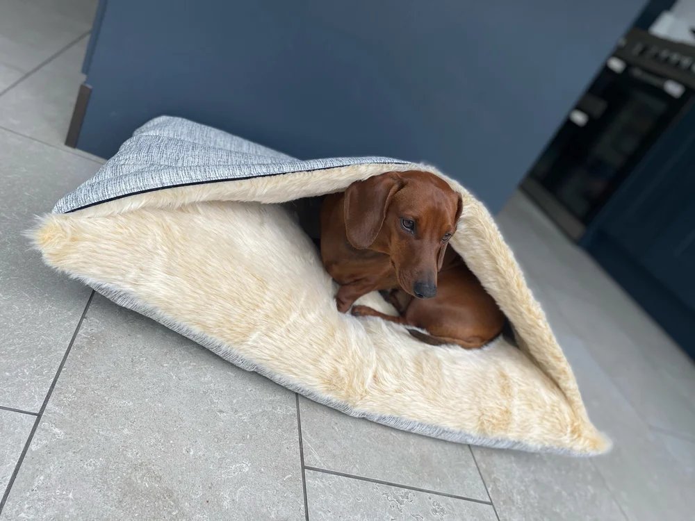 Store 2 — The Sausage Pit
