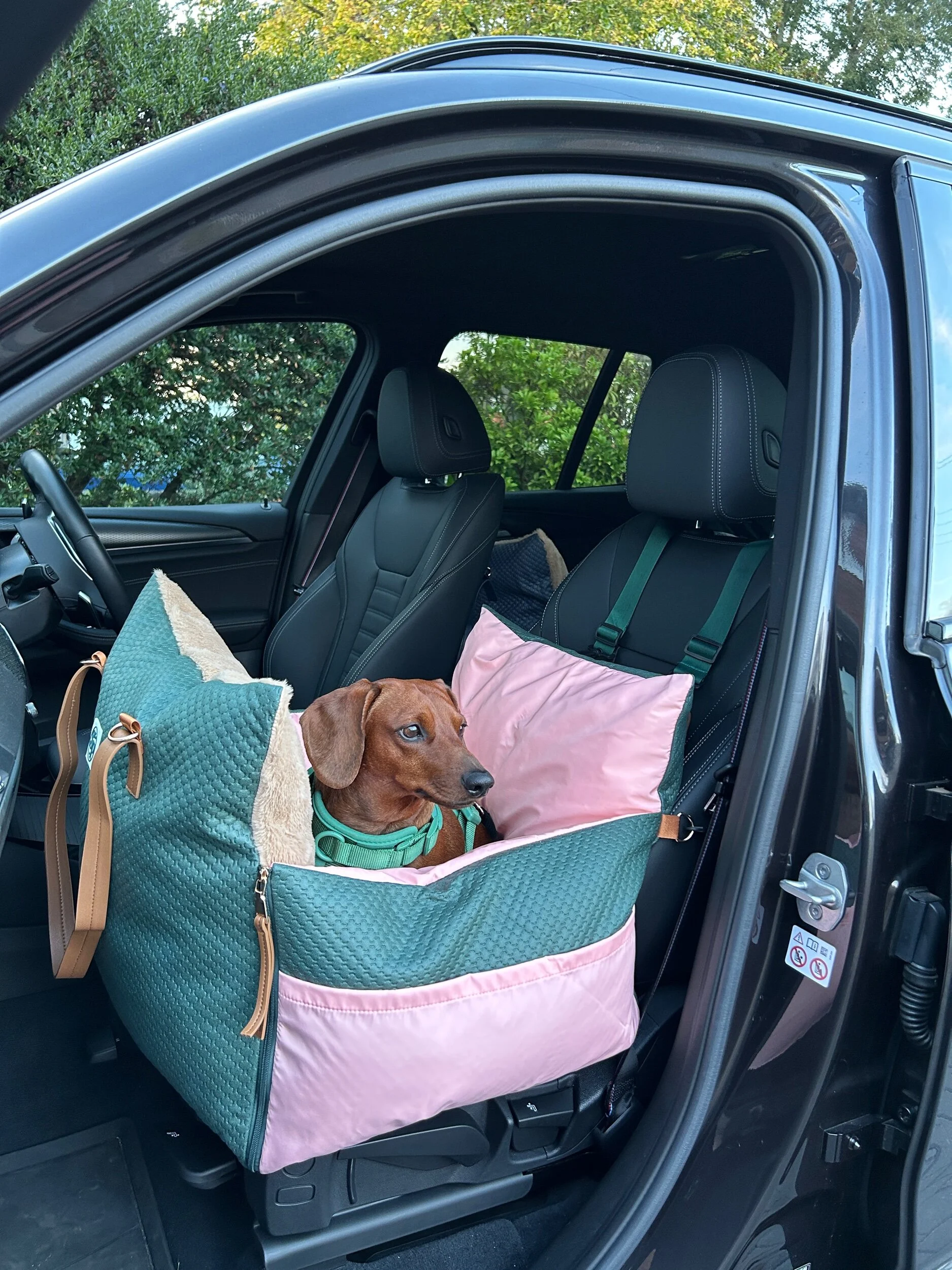 Store 1 — The Sausage Pit