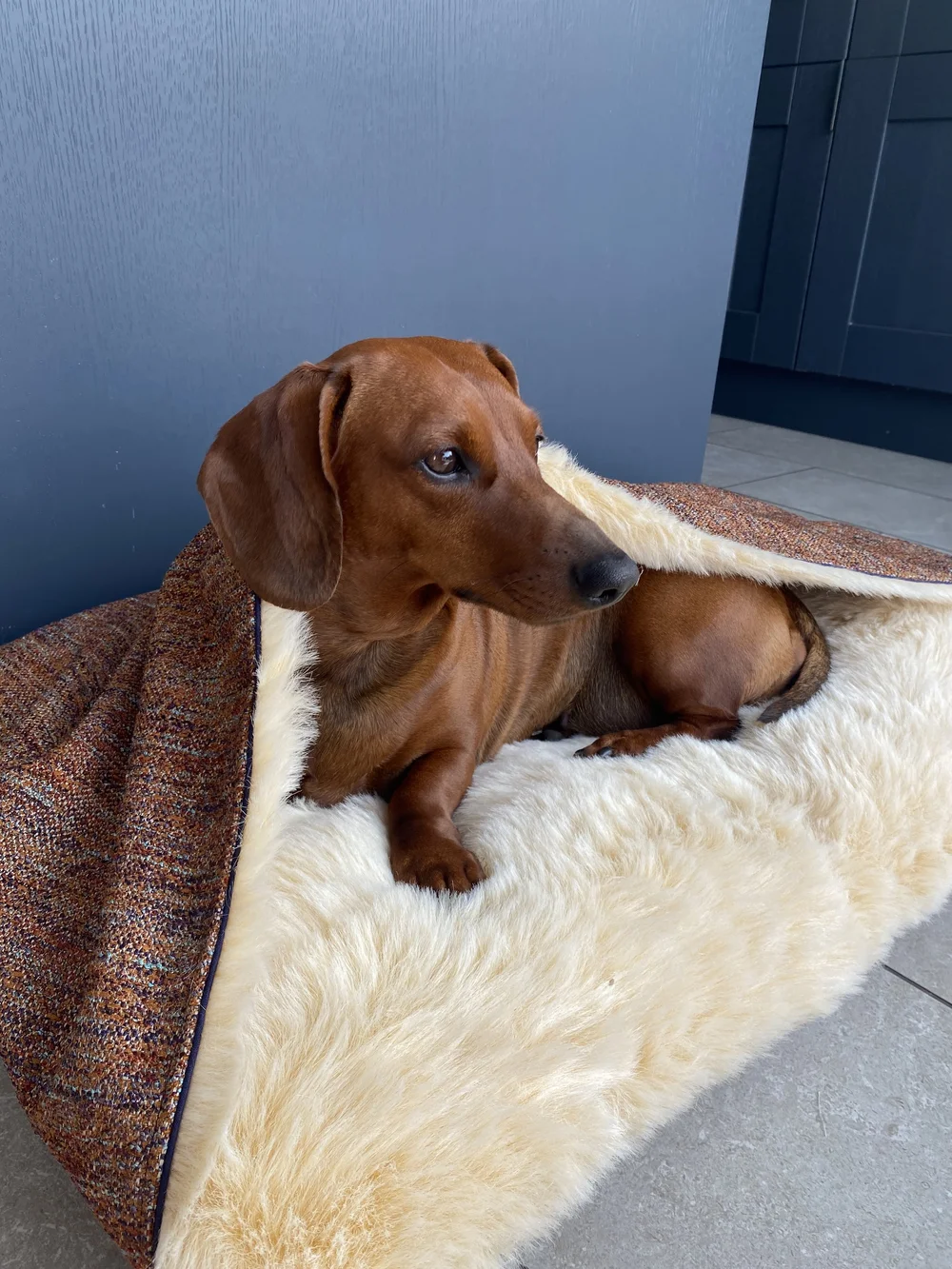 Store 2 — The Sausage Pit
