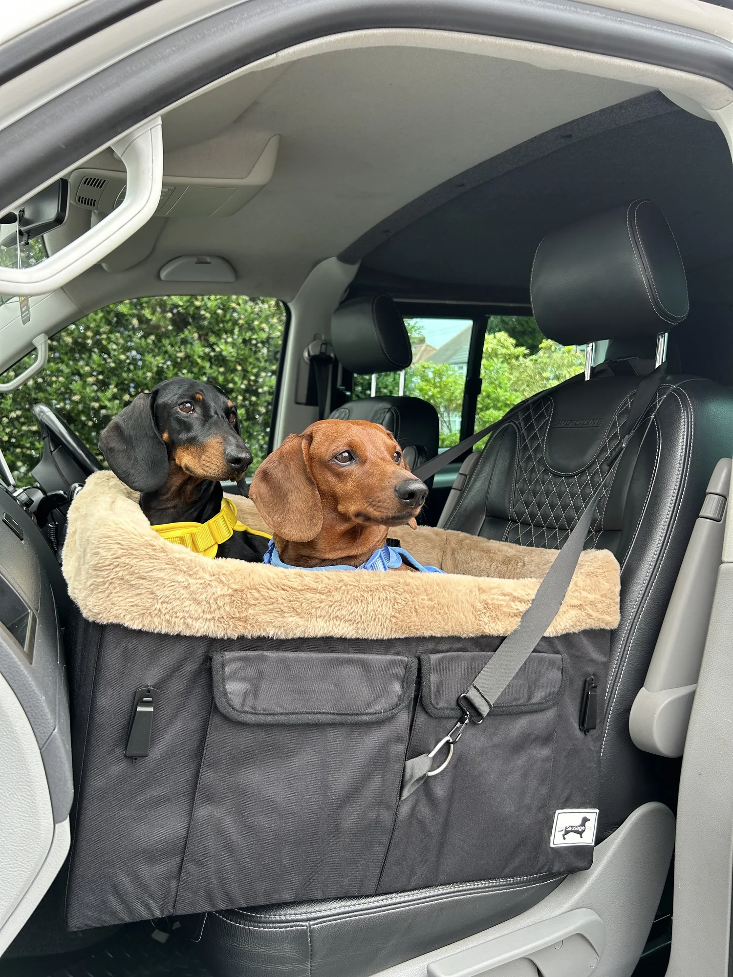 The Sausage Pit | Explore Luxury Dog Comfort