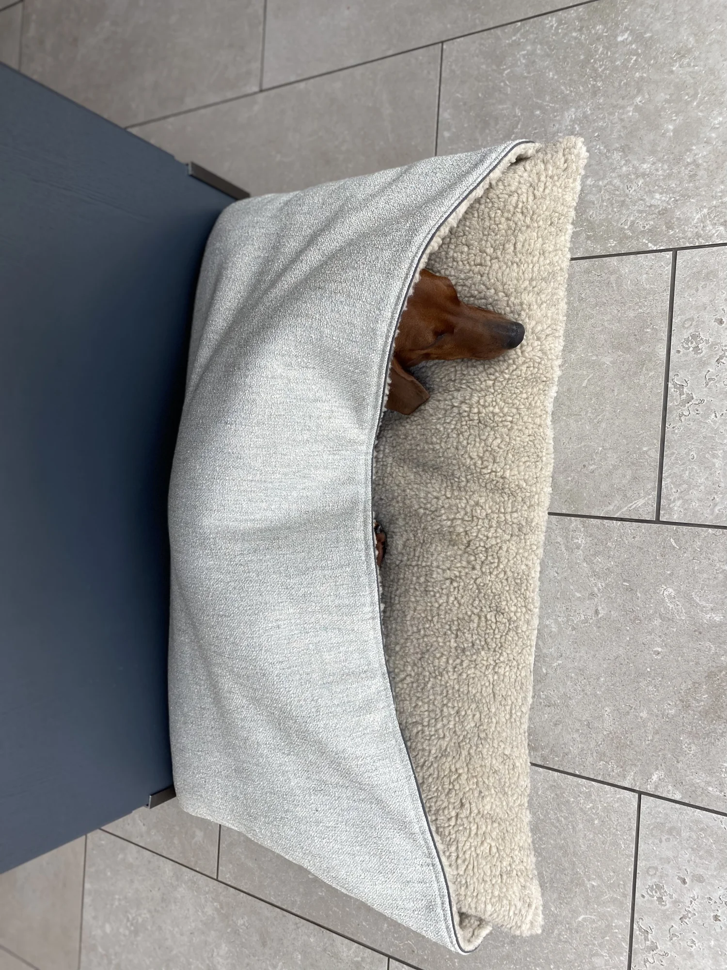 Store 2 — The Sausage Pit