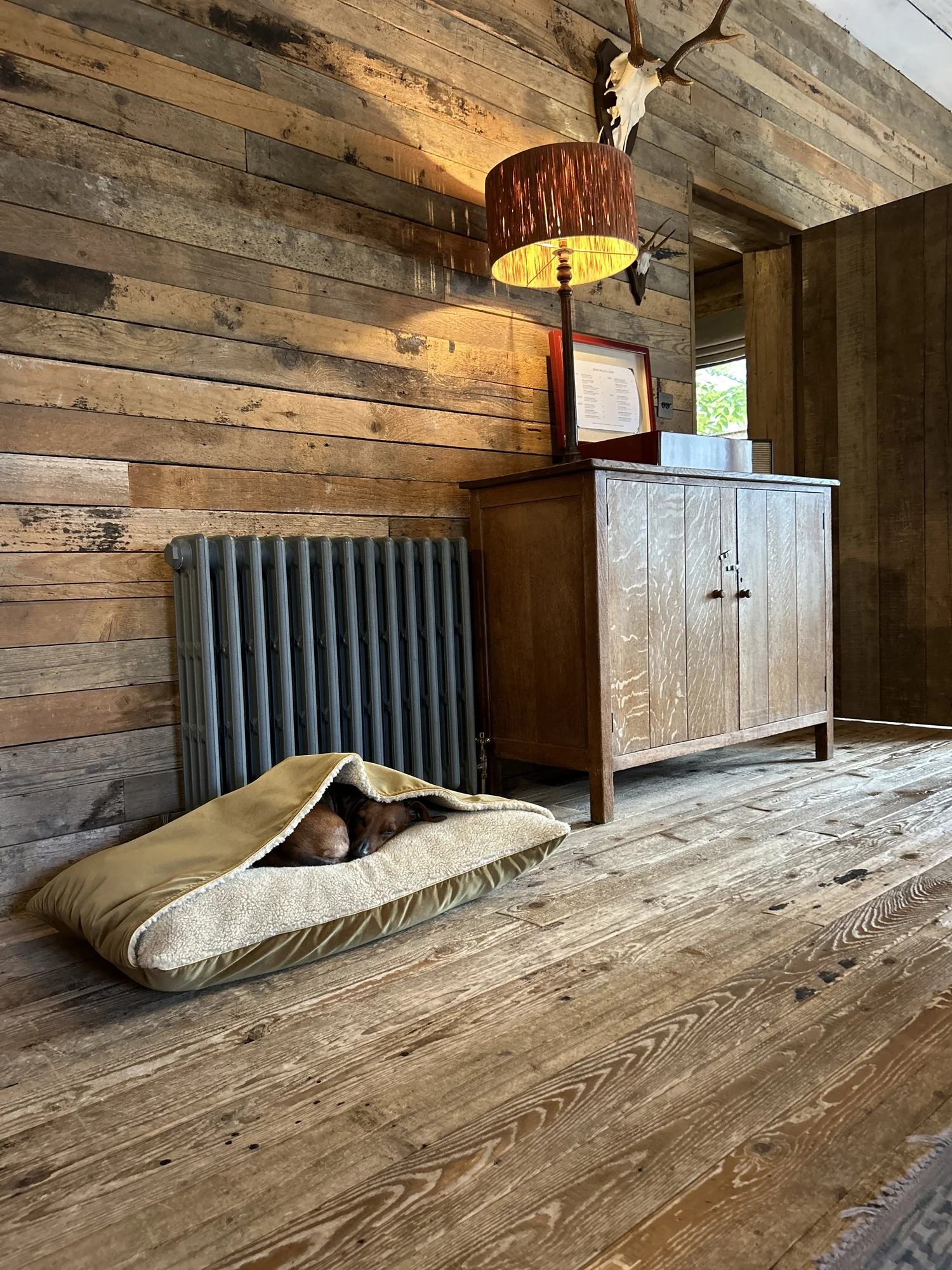 The Sausage Pit | Explore Luxury Dog Comfort