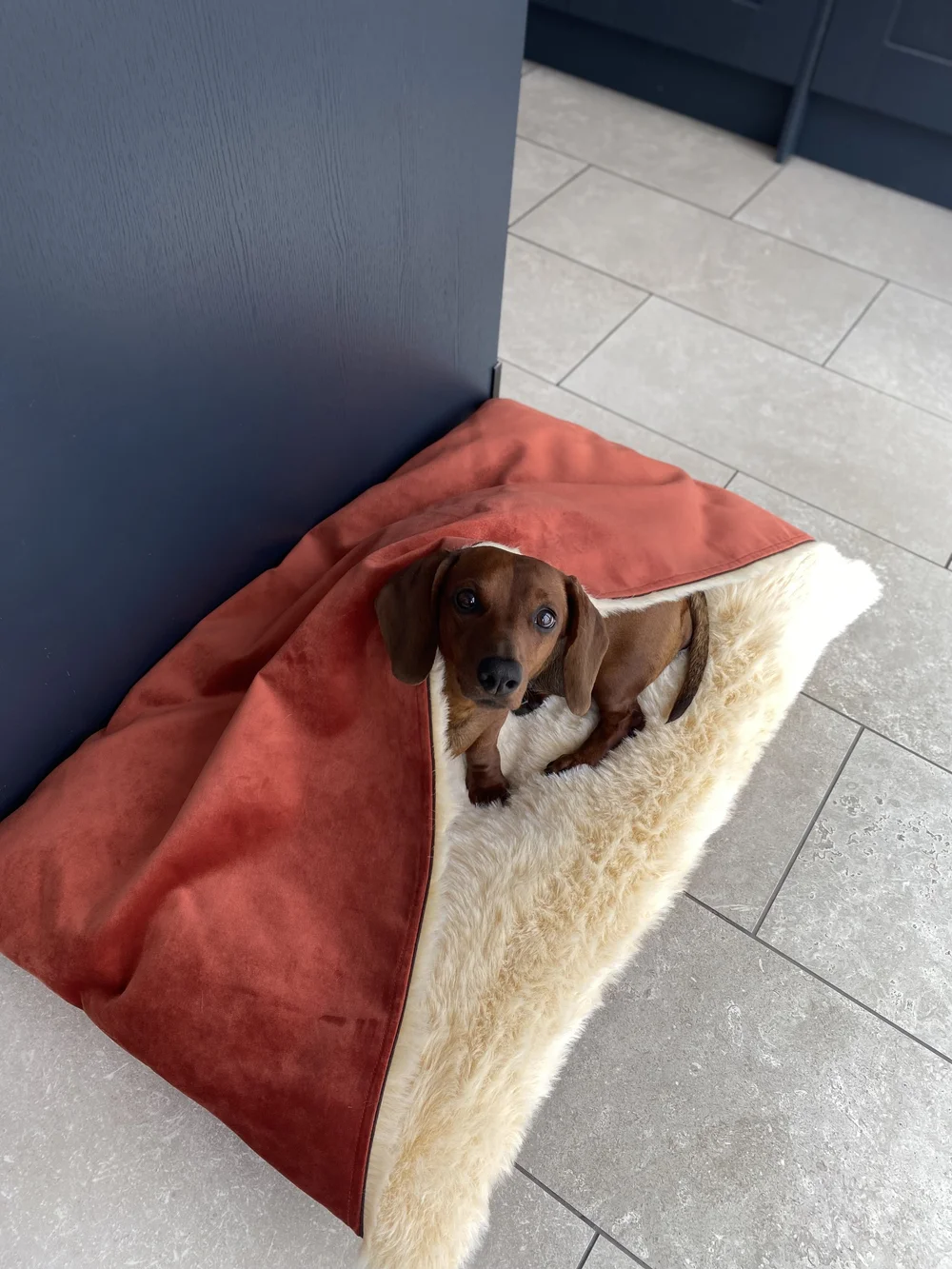 Store 2 — The Sausage Pit