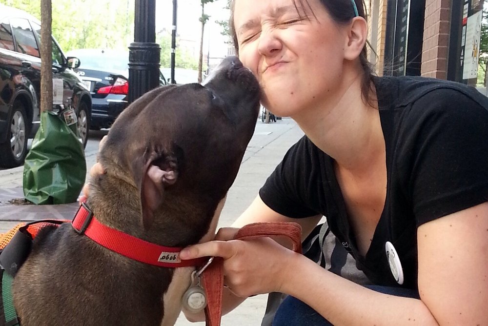 Court Case Dogs — Safe Humane Chicago