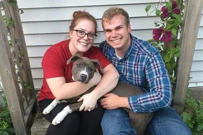 Court Case Dogs — Safe Humane Chicago
