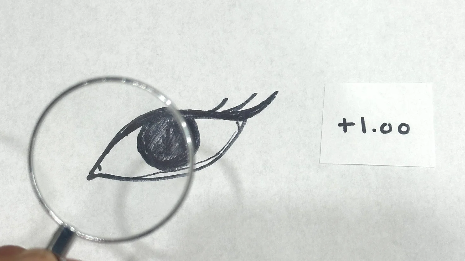 Understanding Eyeglasses Prescriptions: Why Your Lenses Affect Your Eye ...