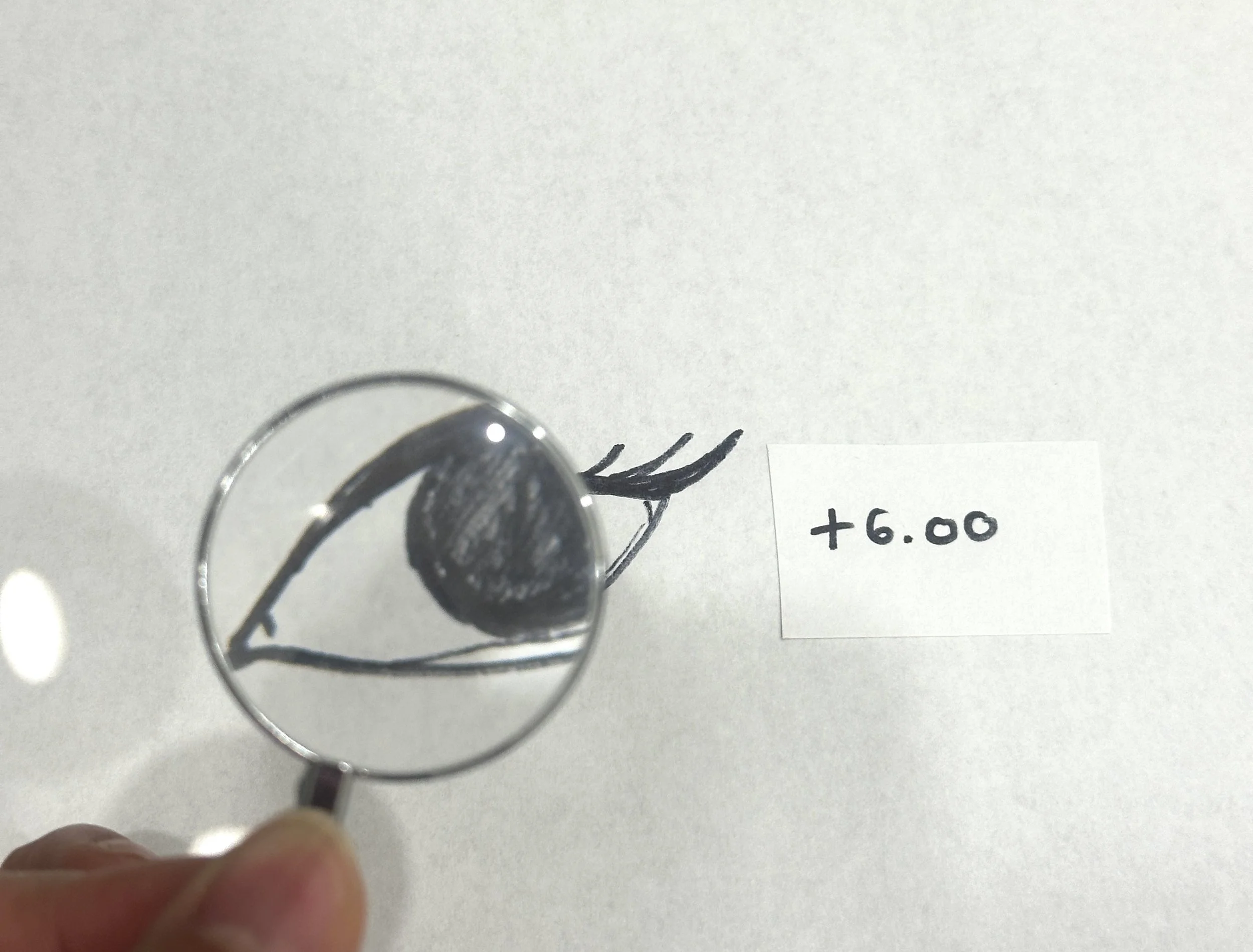 Understanding Eyeglasses Prescriptions: Why Your Lenses Affect Your Eye ...