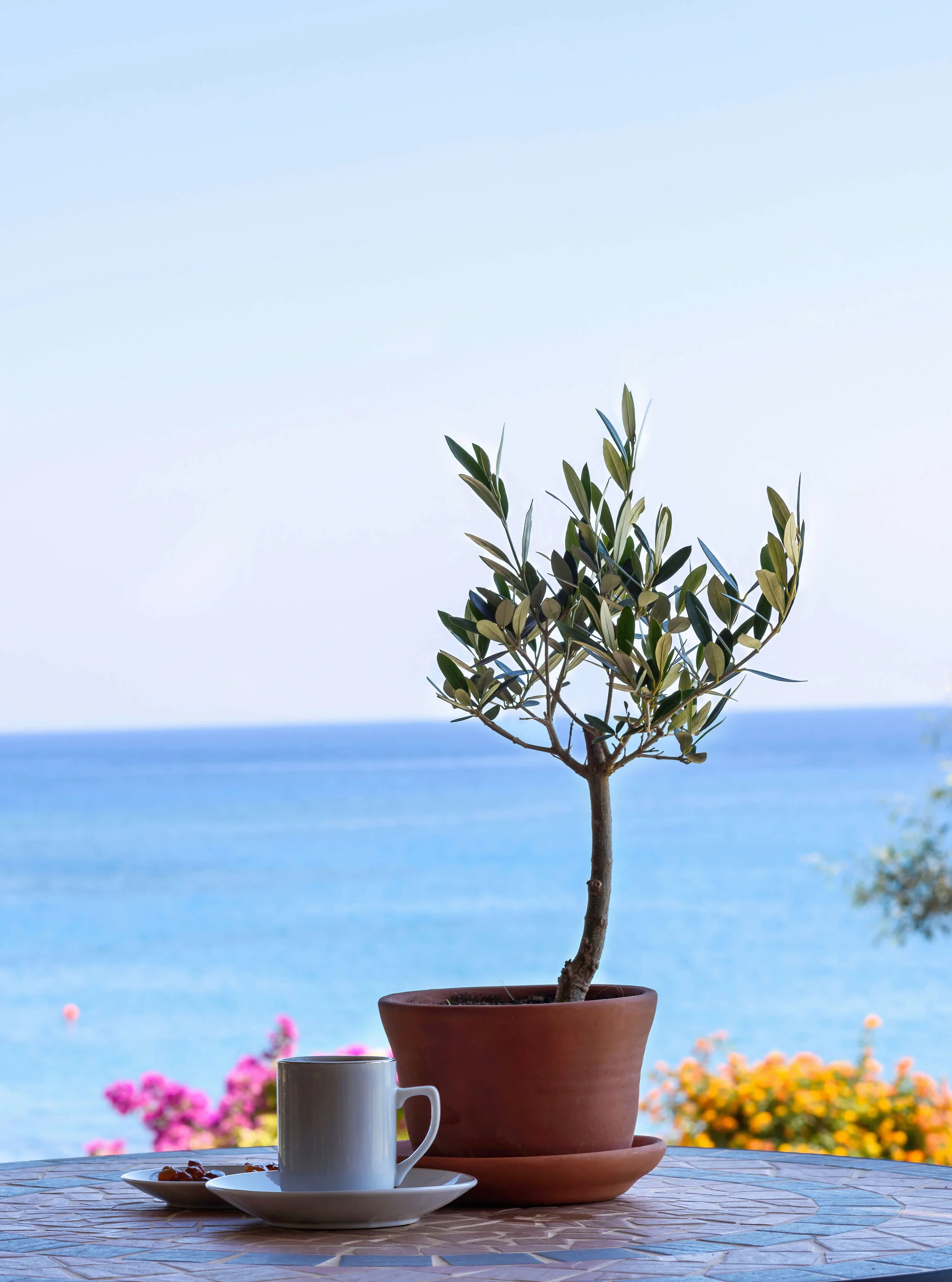 About Emma Tait | Counsellor & Psychotherapist