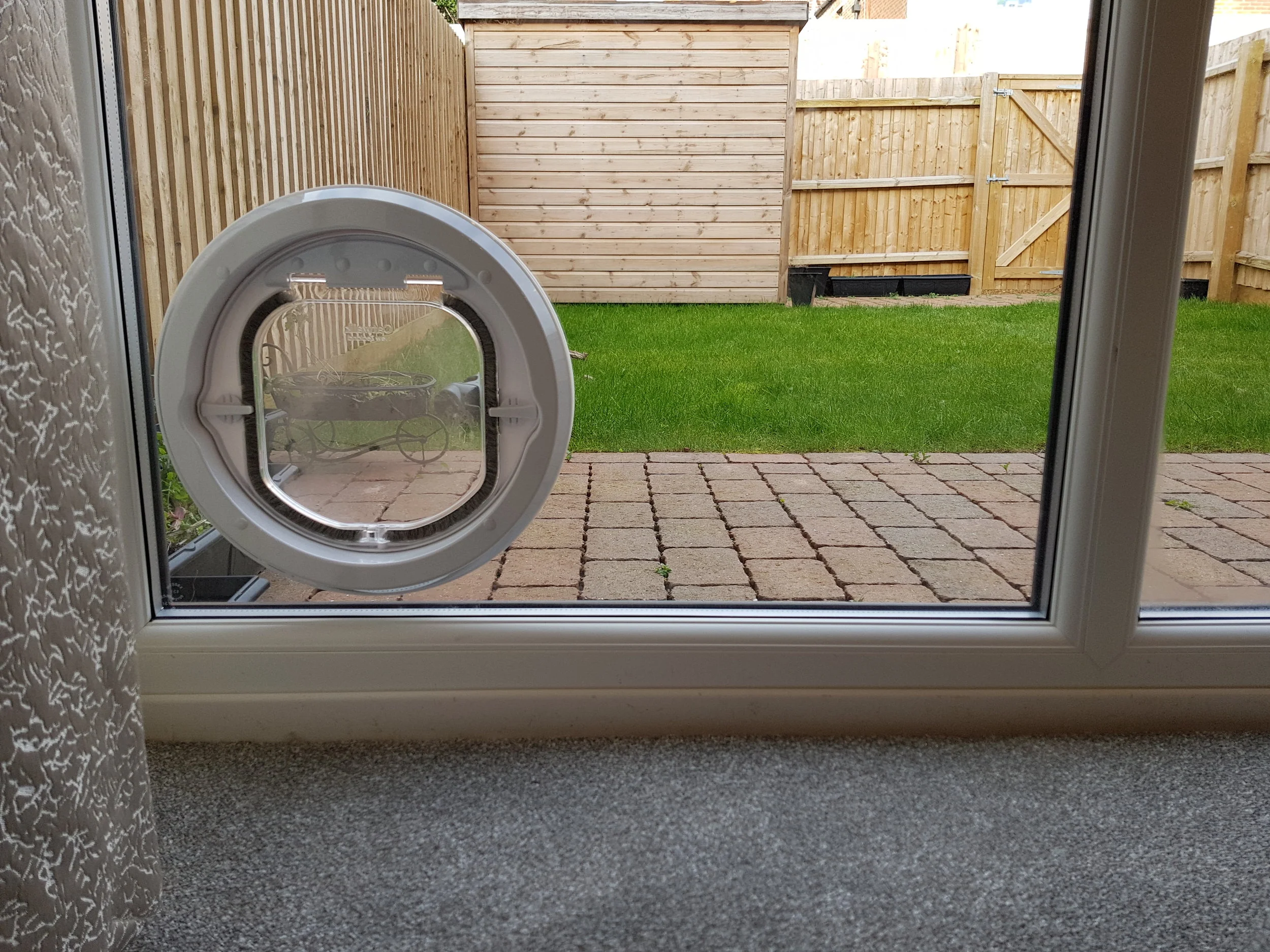 Cat Flaps in Glass — Samuel Charles Glass & Glazing Southampton