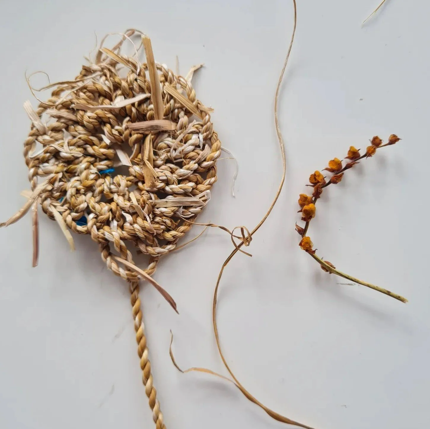 Walking Blickling contemporary basketry made in Norfolk using natural ...