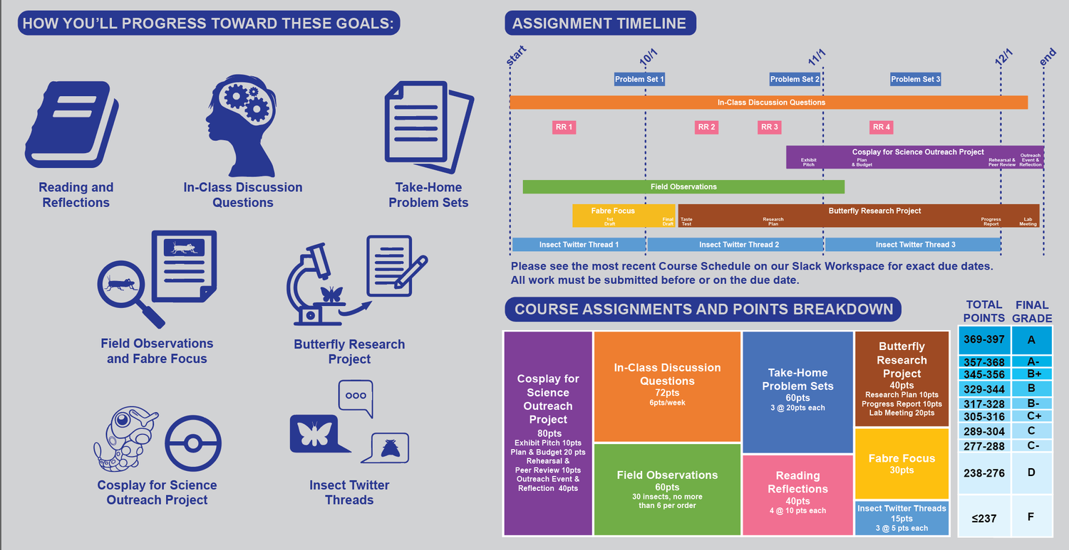 Why I Don’t Give Exams (And What I Use Instead) — Grow Beyond Grades