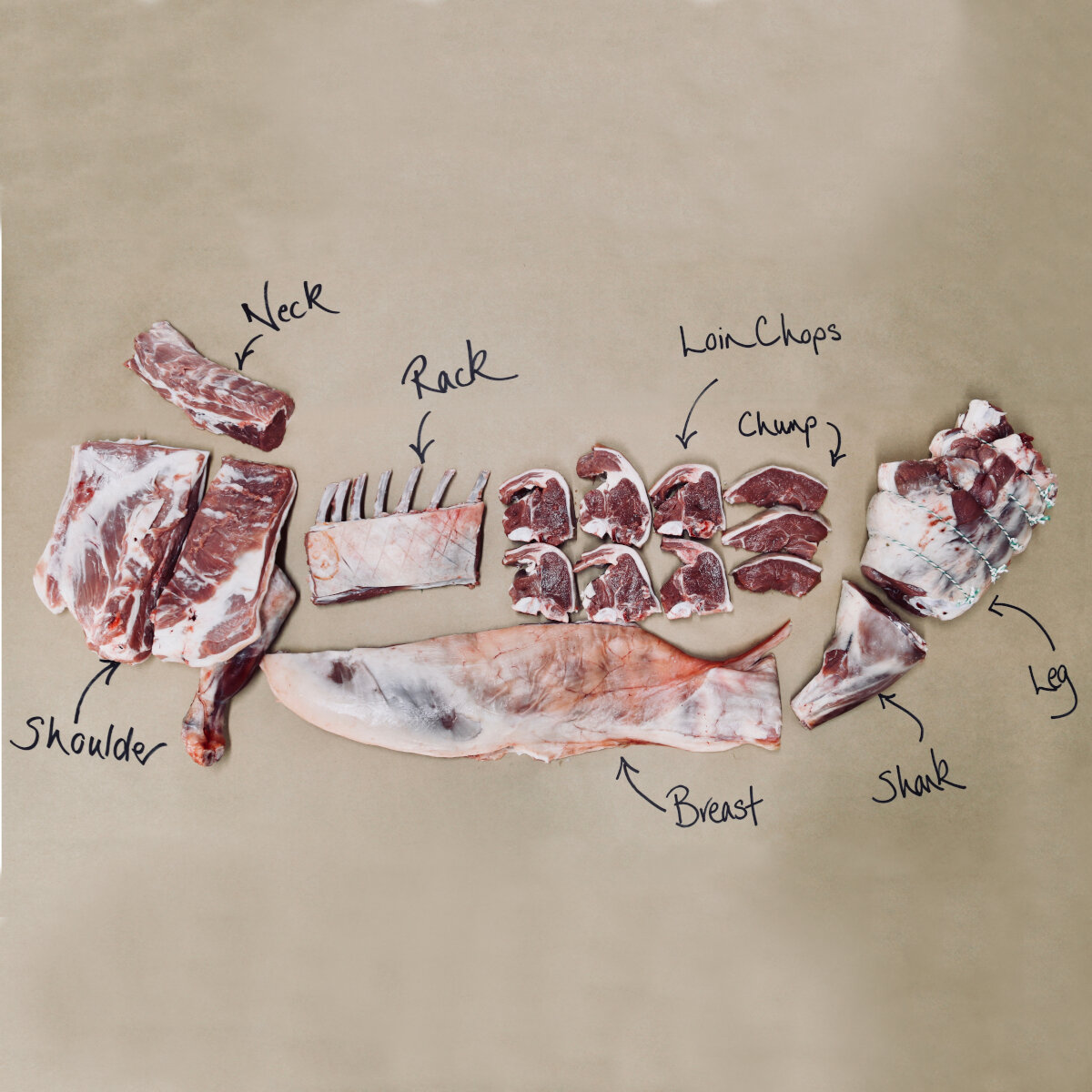 The Lamb Chop Box — Jacob's Ladder