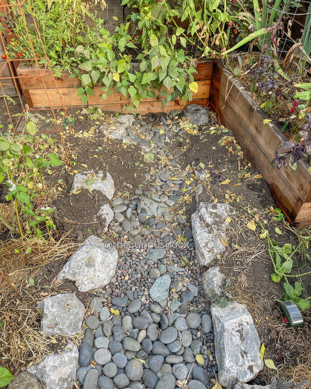 Natural Gopher Repellent — The Curious Nook