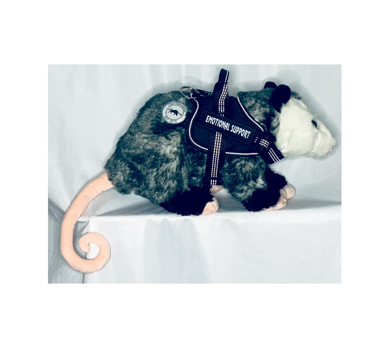 Emotional Support Opossum — CritterVision