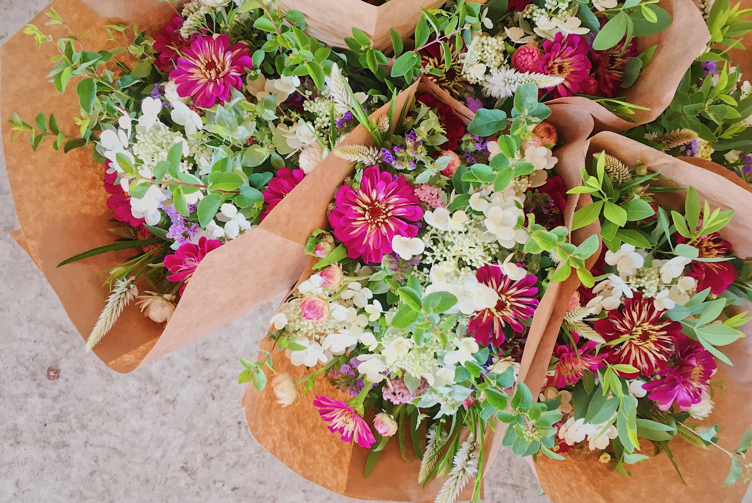 Flower CSA — Bush Poppy Farm