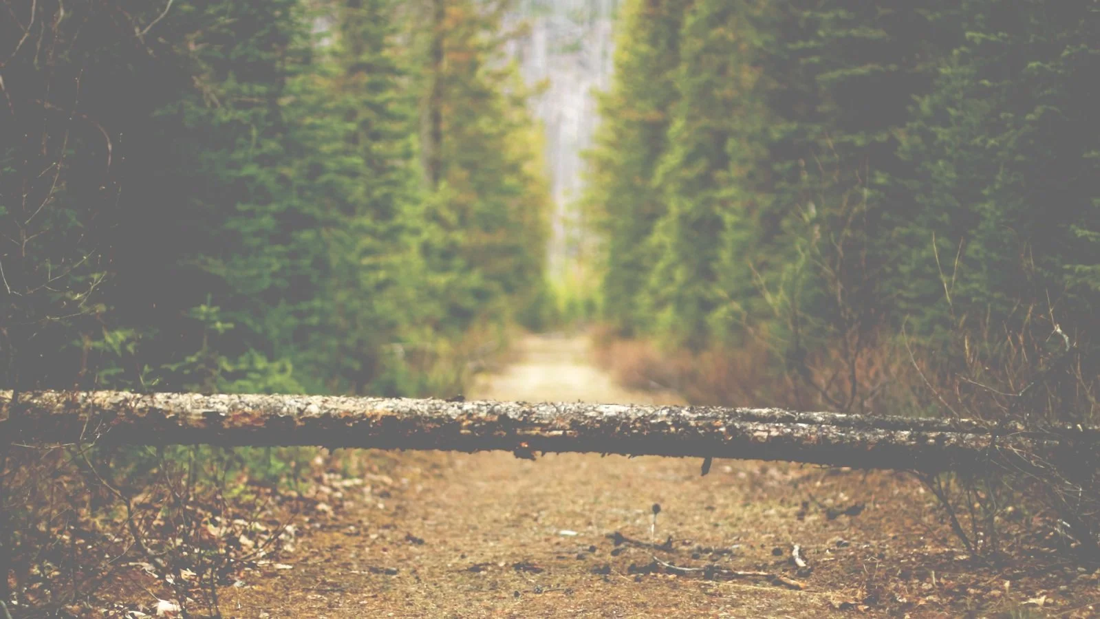 Overcoming obstacles to wellness — Natural Rhythms