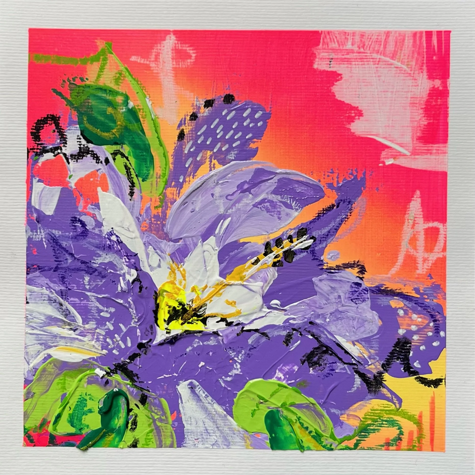 Amy Hughes — Ayres House Studios