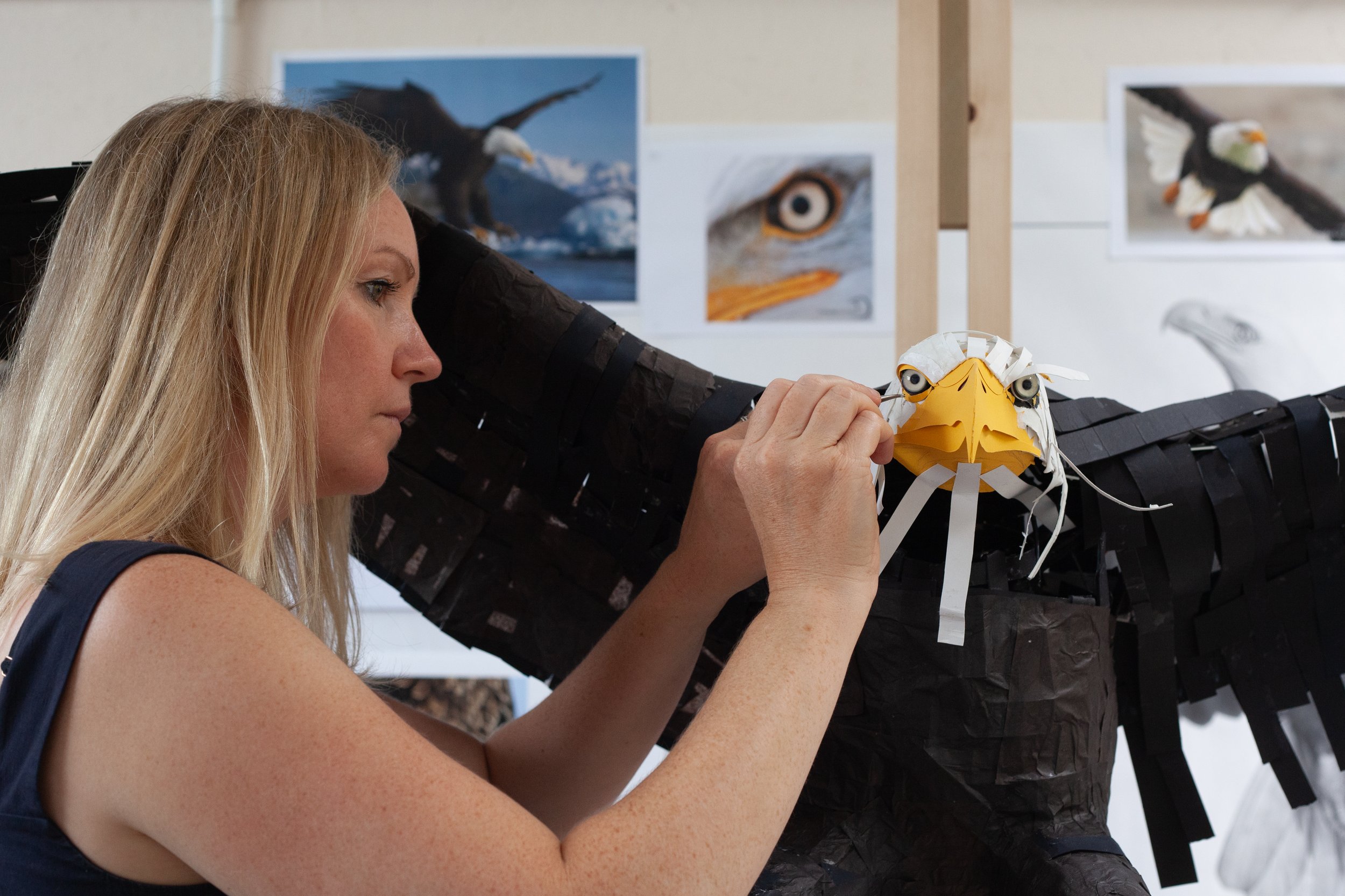 EAGLE ORIGINAL IMAGES — Lisa Lloyd