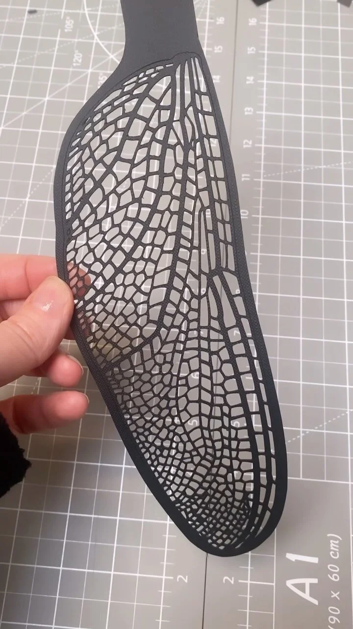 About Us — Lisa Lloyd