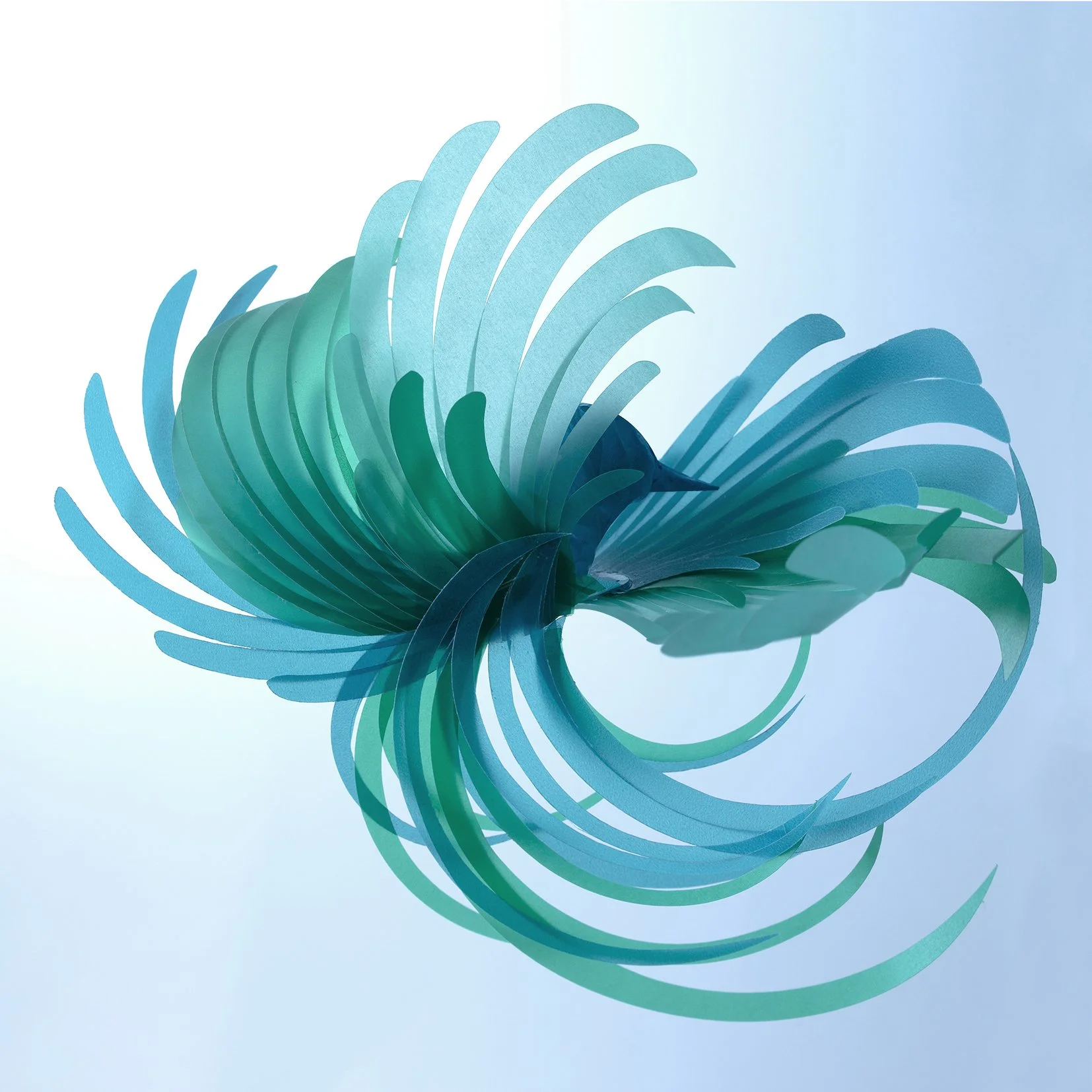 About Us — Lisa Lloyd