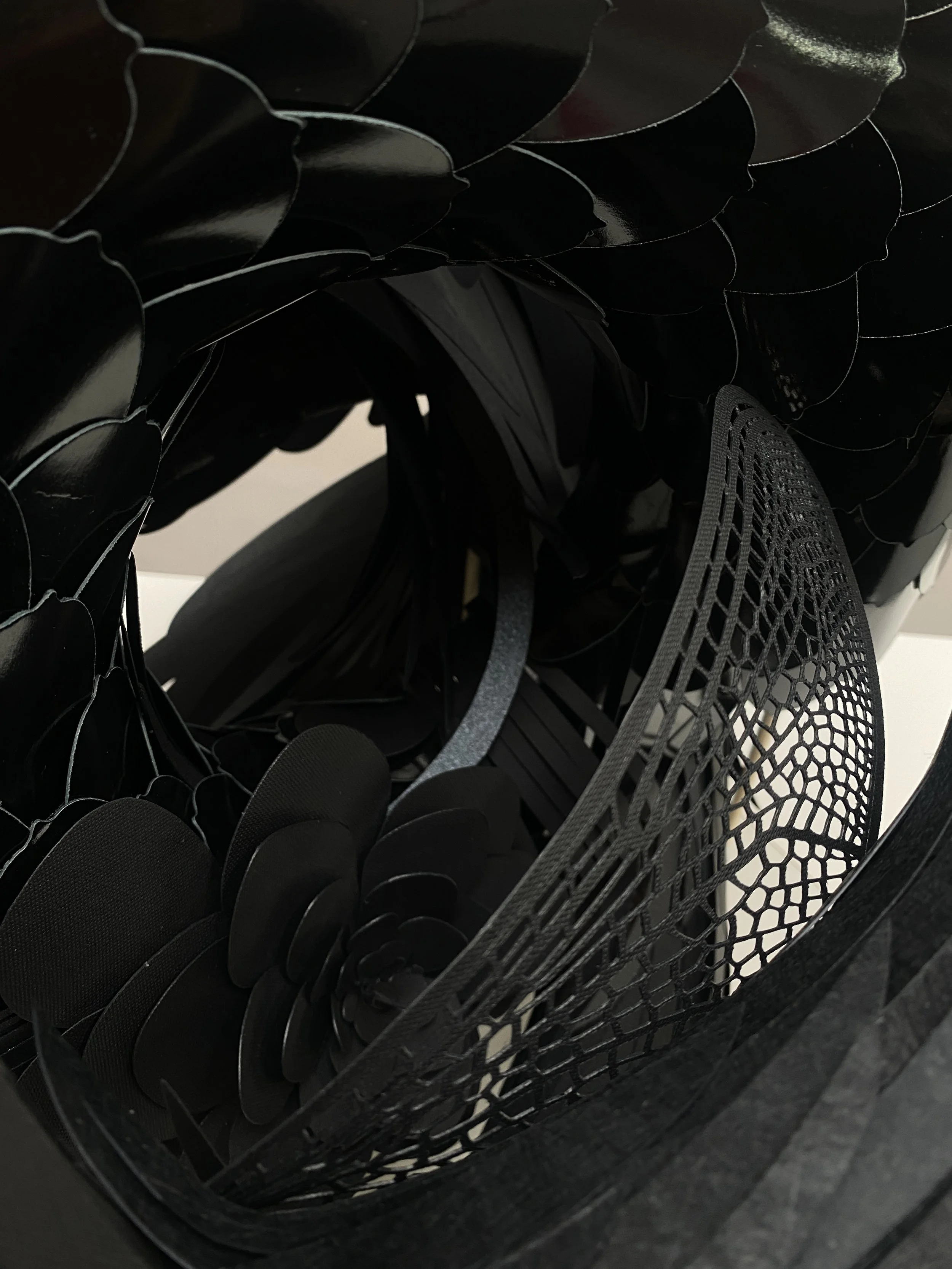 About Us — Lisa Lloyd