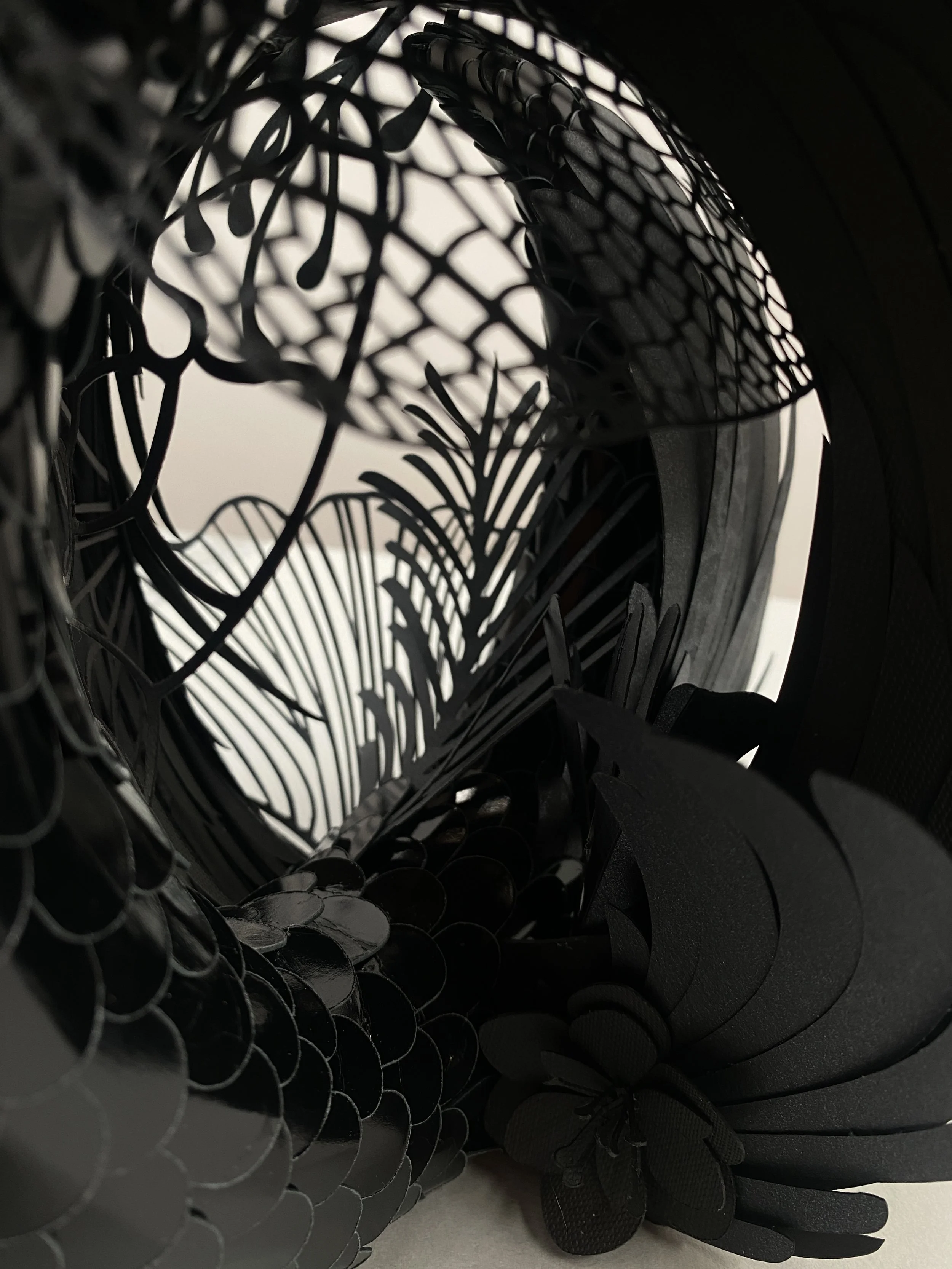 About Us — Lisa Lloyd