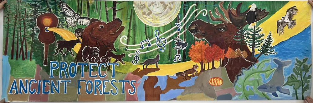 Offerings — Protect Ancient Forests