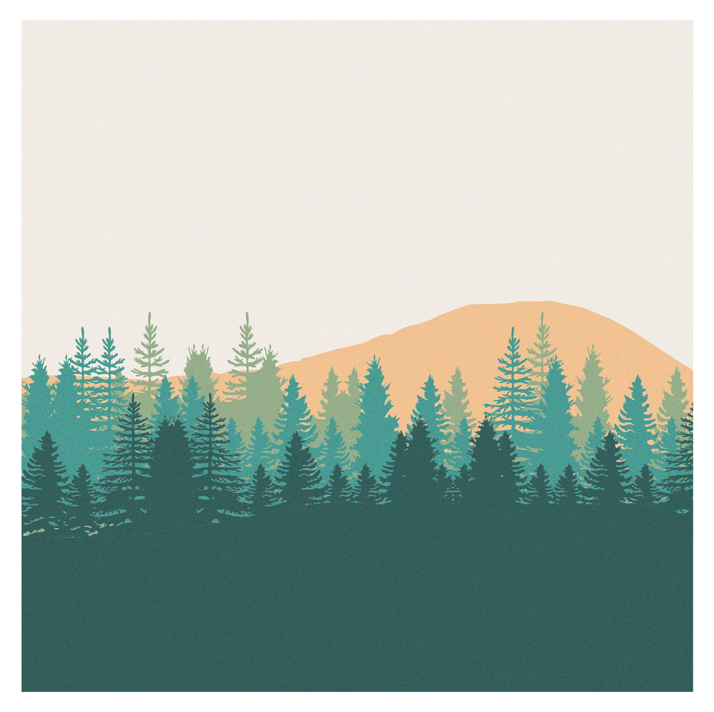 Tollymore Trail Ultramarathon 2024 — Mark Whiteside