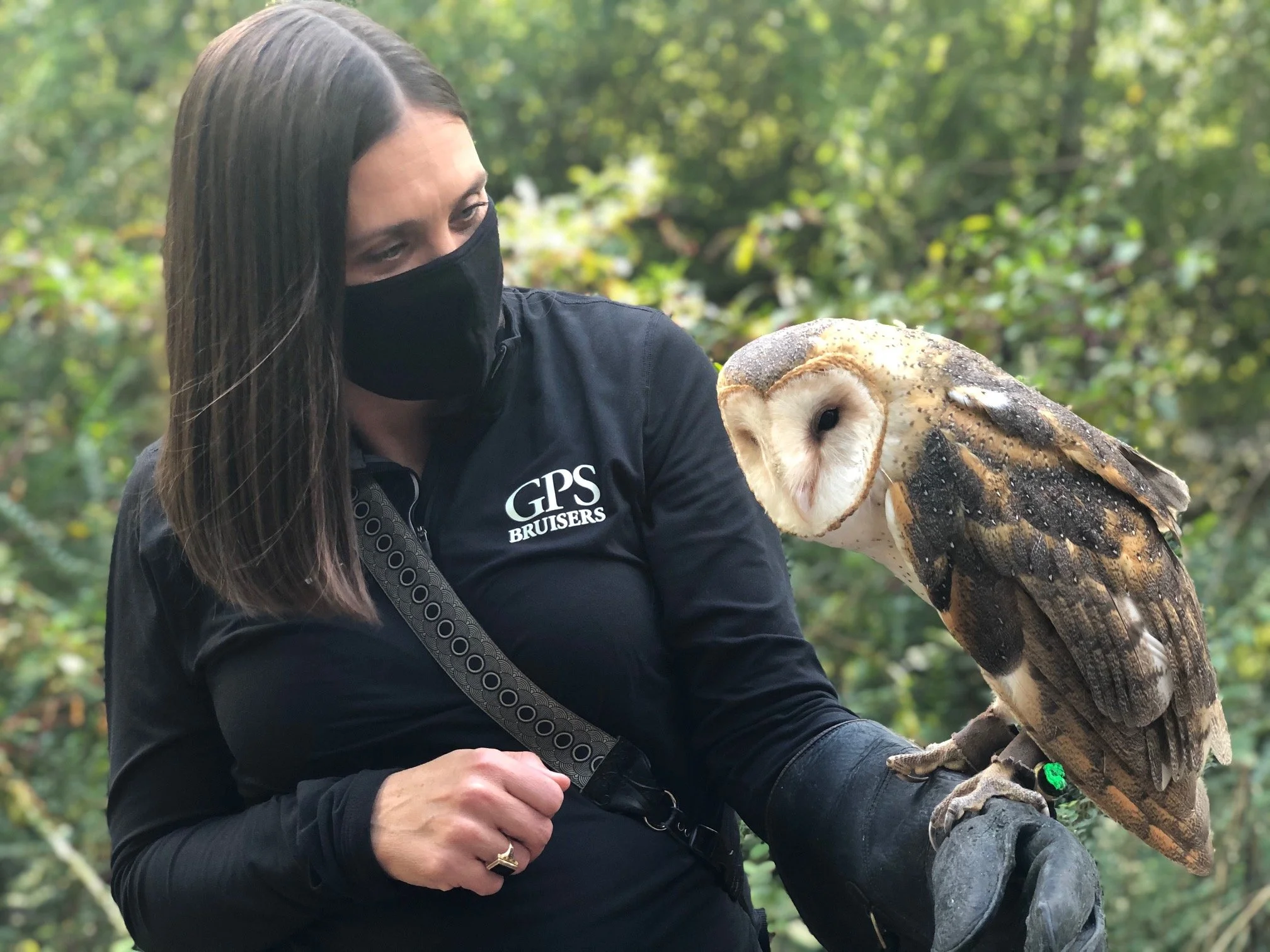 Meet our Animal Ambassadors — Reflection Riding | Chattanooga nature ...