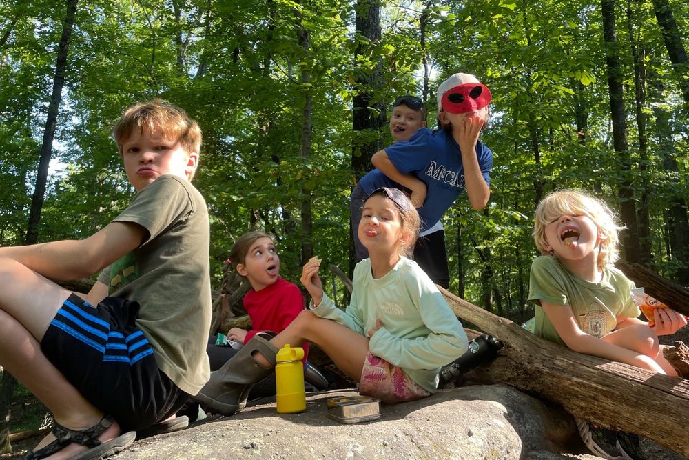 Looking Back on a Year of Forest Homeschool — Reflection Riding ...
