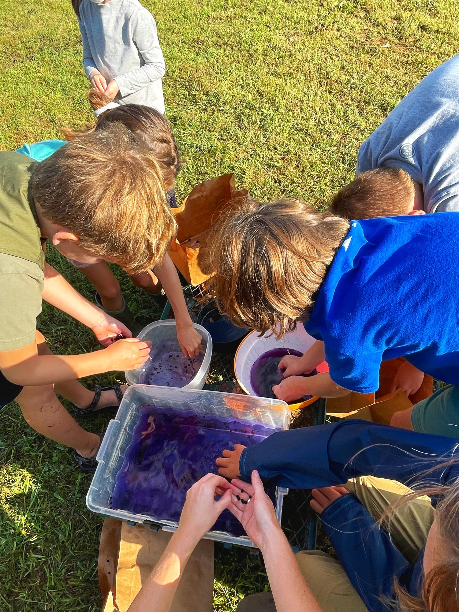 Teaching Forest Homeschool — Reflection Riding | Chattanooga nature ...