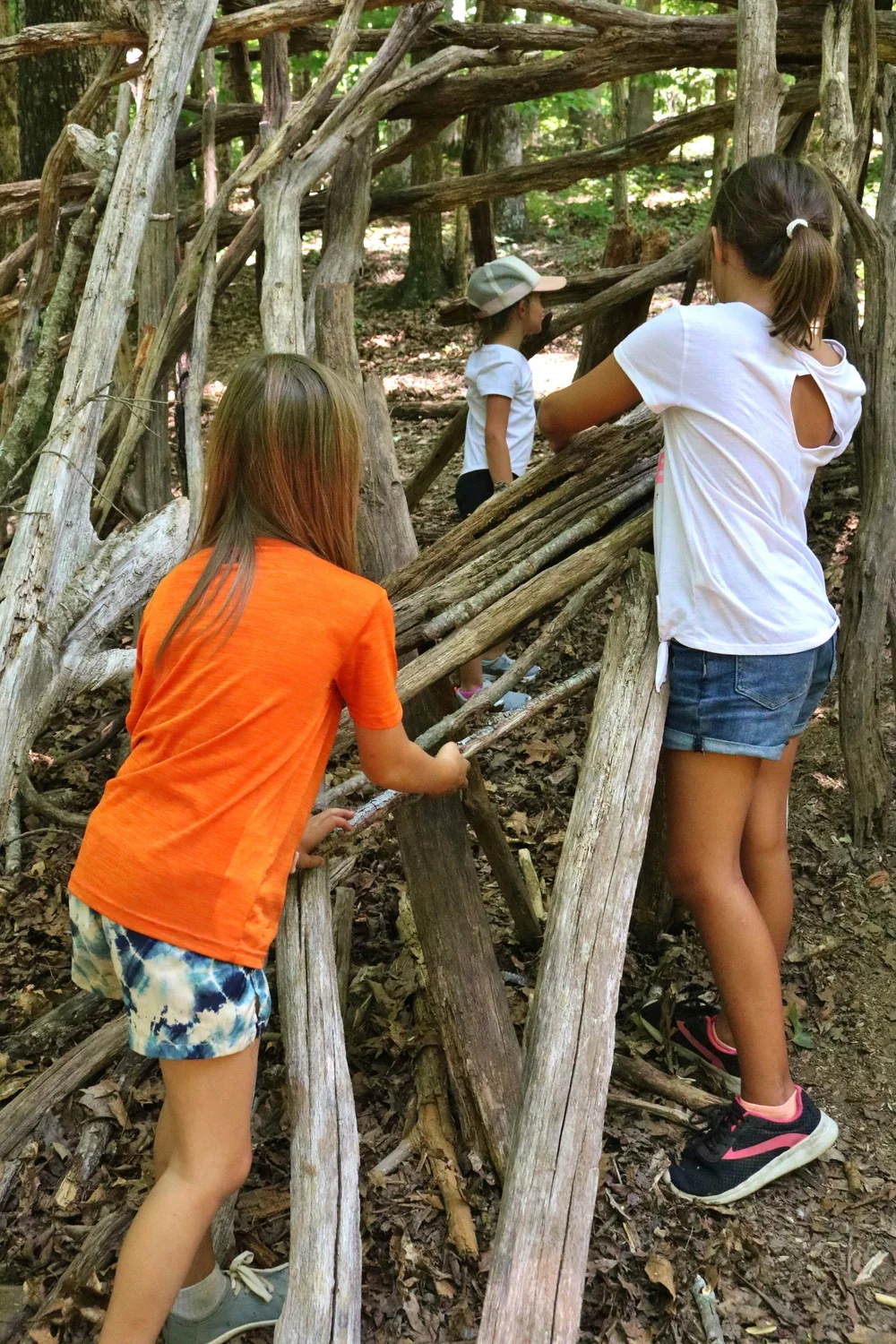 Nature Playscape — Reflection Riding | Chattanooga nature center ...