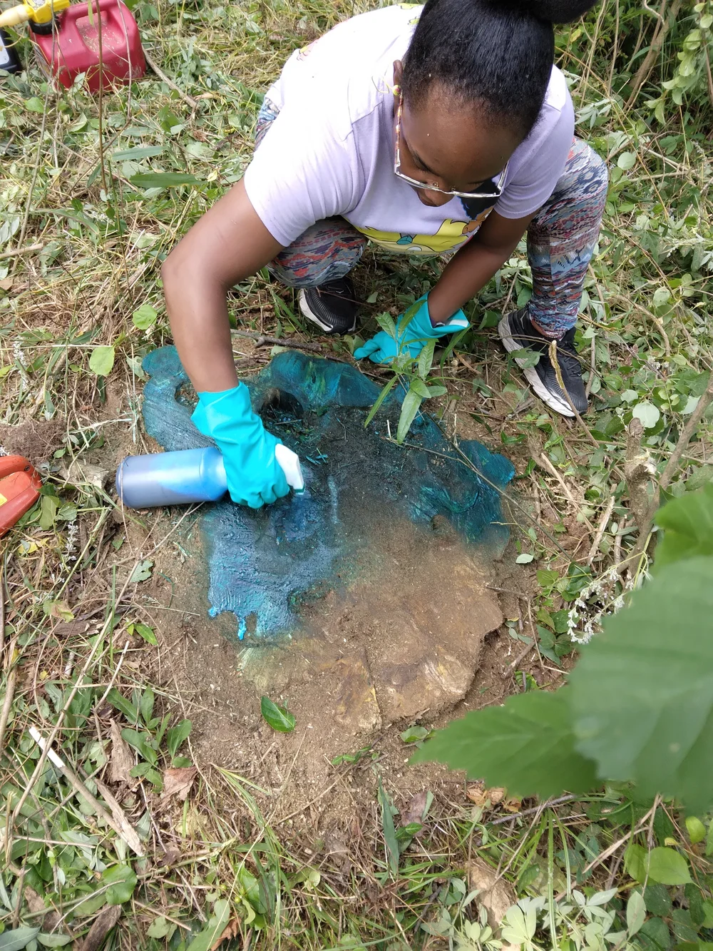 Land Conservation Apprenticeship at Reflection Riding — Reflection ...