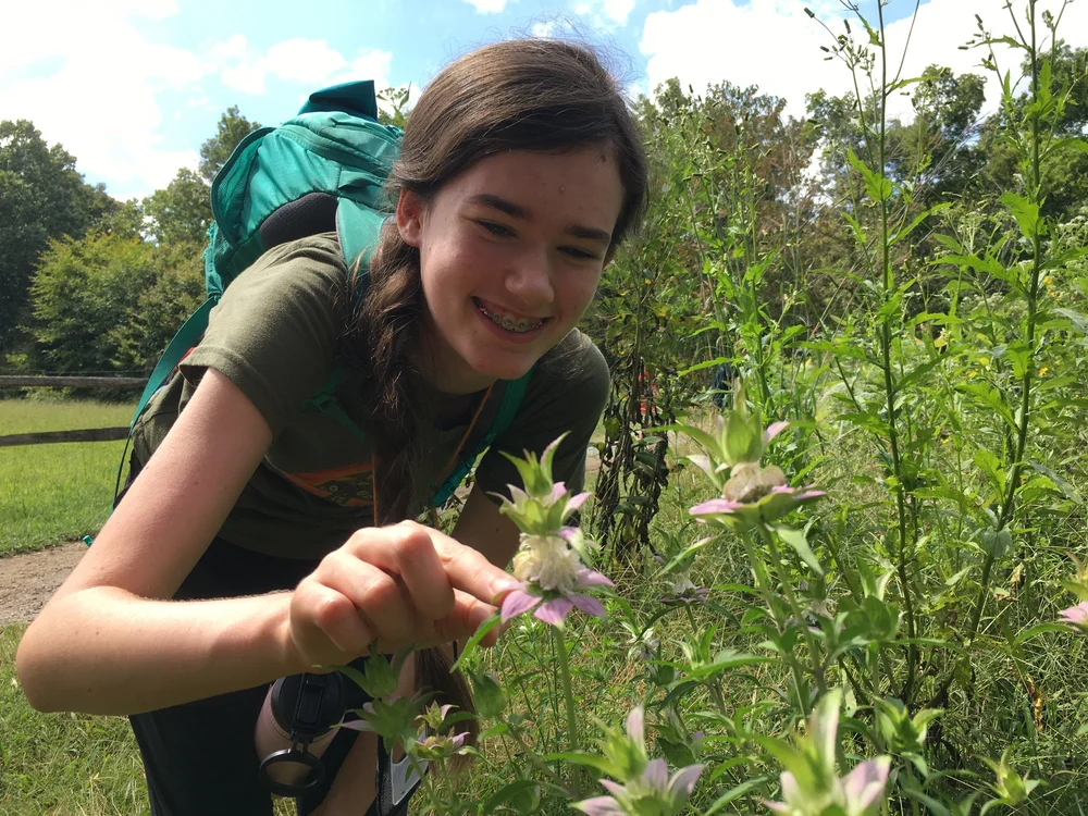Forest Homeschool Nature Journal — Reflection Riding | Chattanooga ...