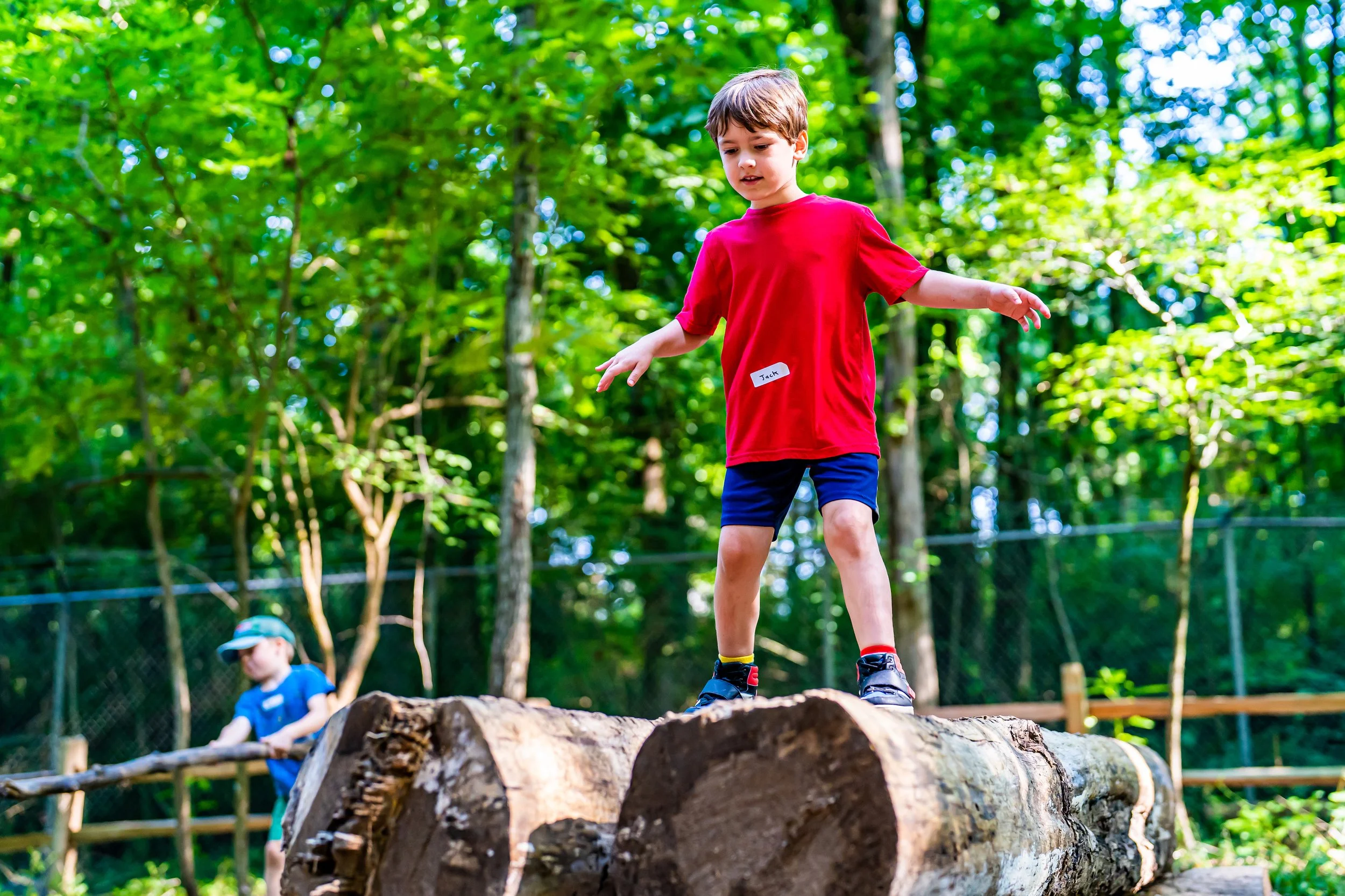 Nature Playscape — Reflection Riding | Chattanooga nature center ...