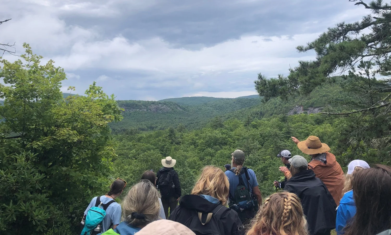 A Week at Cullowhee Native Plant Conference — Reflection Riding ...