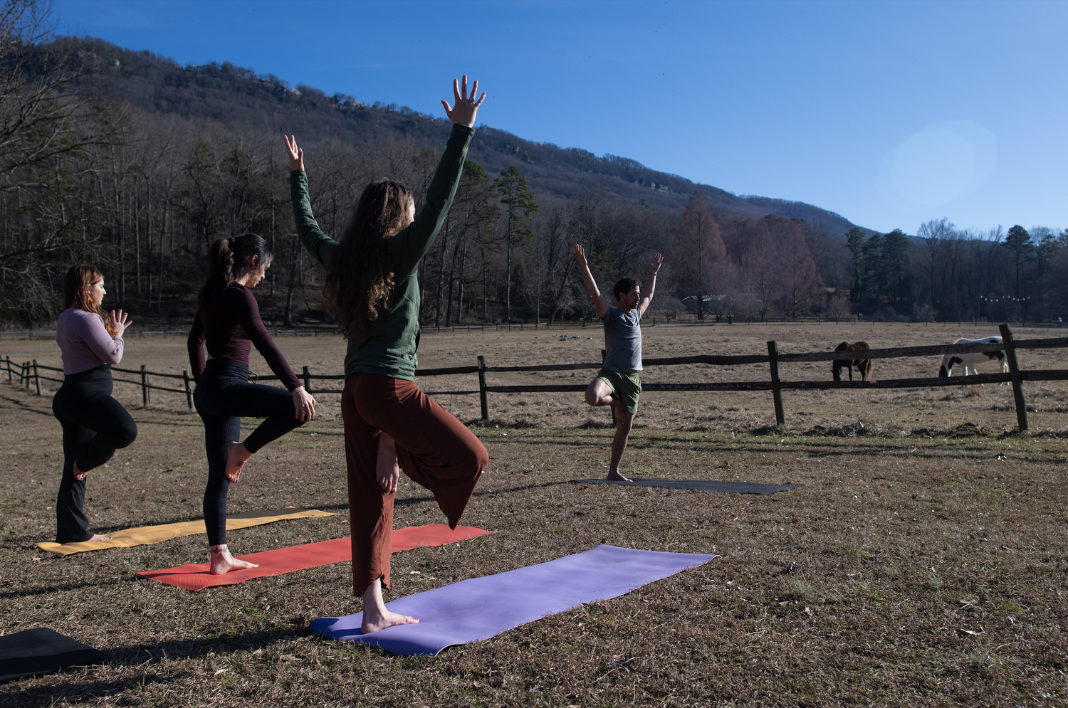 Mountainside Yoga — Reflection Riding | Chattanooga nature center ...