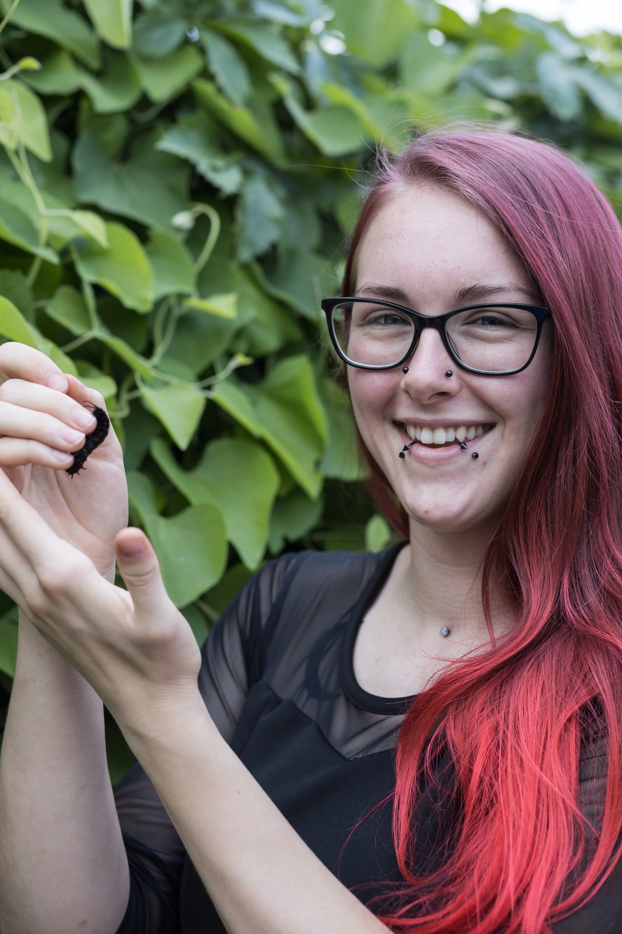 Native Landscape Apprenticeship Review — Reflection Riding ...